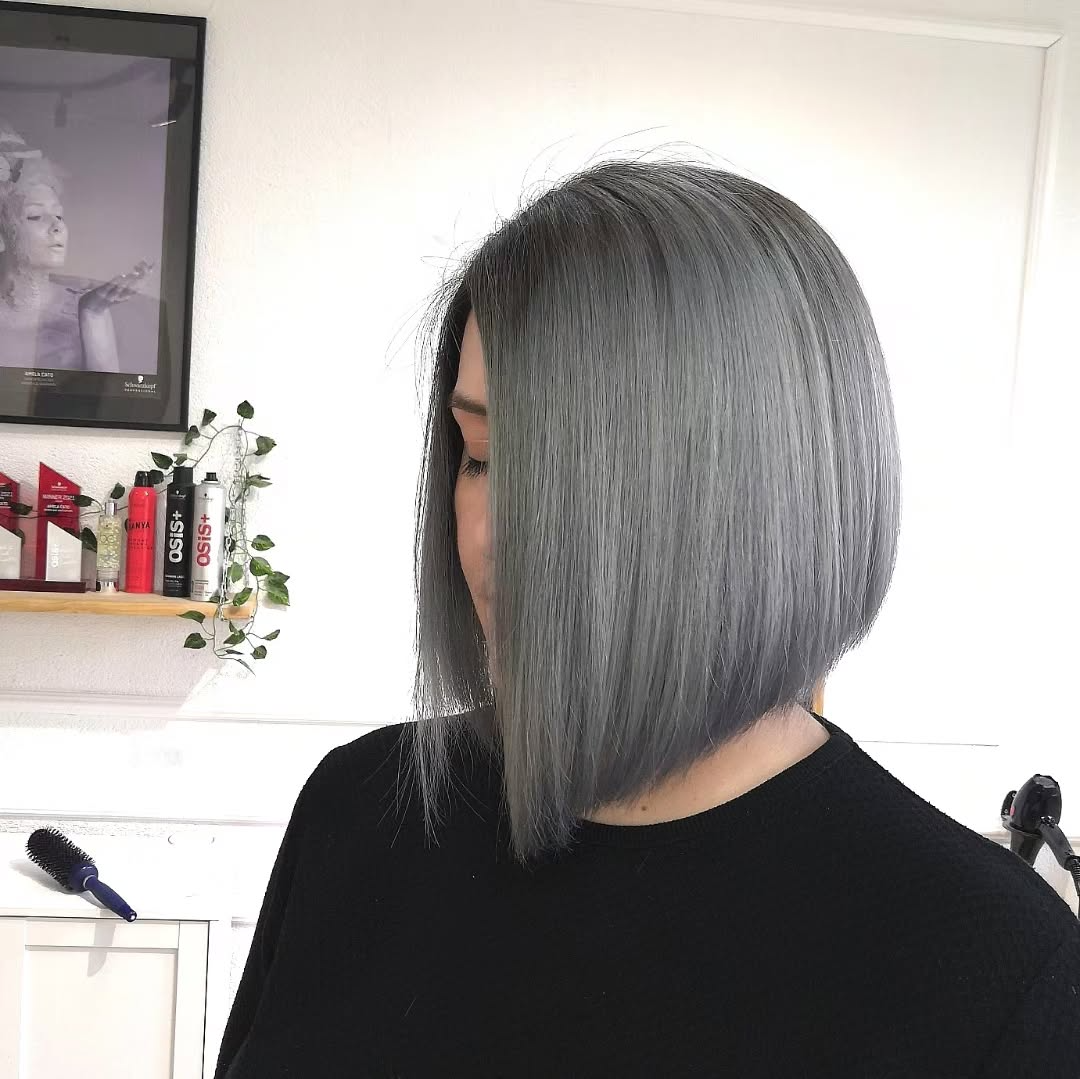 16 Silver Hair Color Looks That Elevate Your Style – Pixelify
